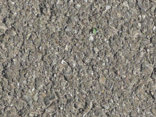 bare grey asphalt texture 0009 - Texturelib